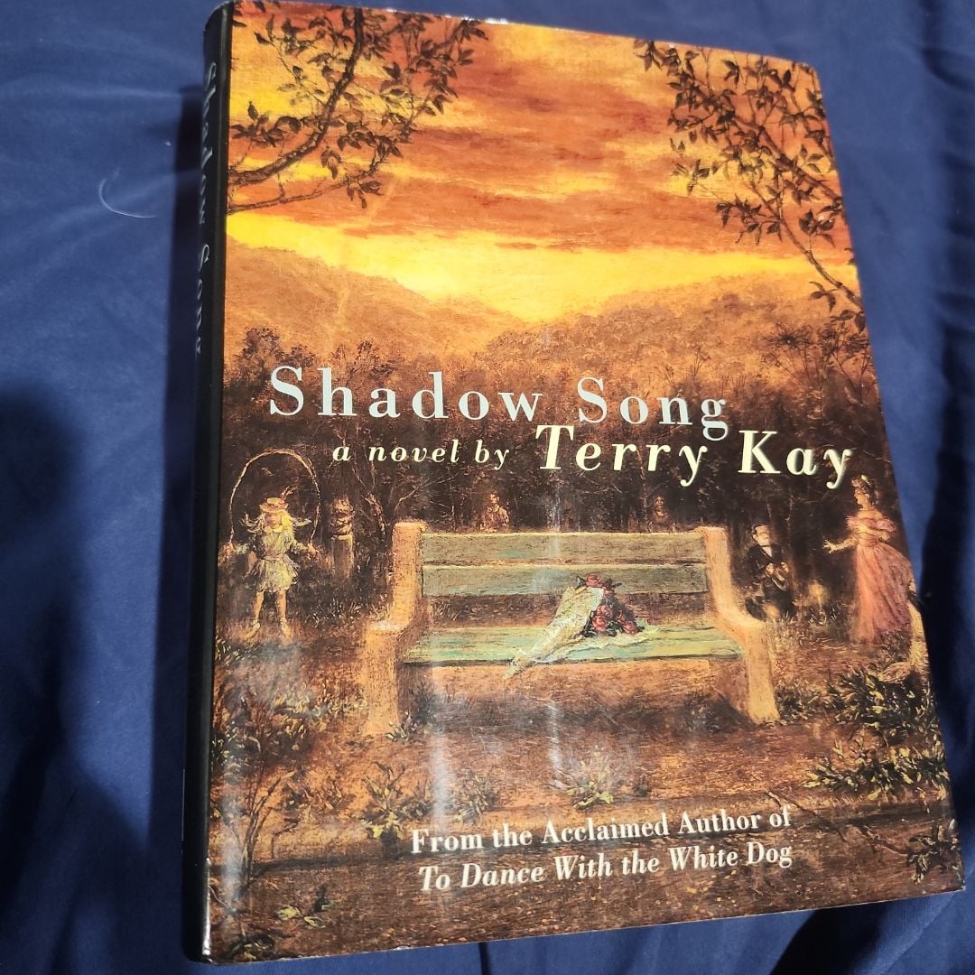 Shadow Song by Terry Kay, Hardcover | Pangobooks