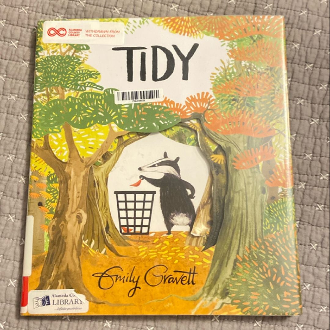 Tidy by Emily Gravett