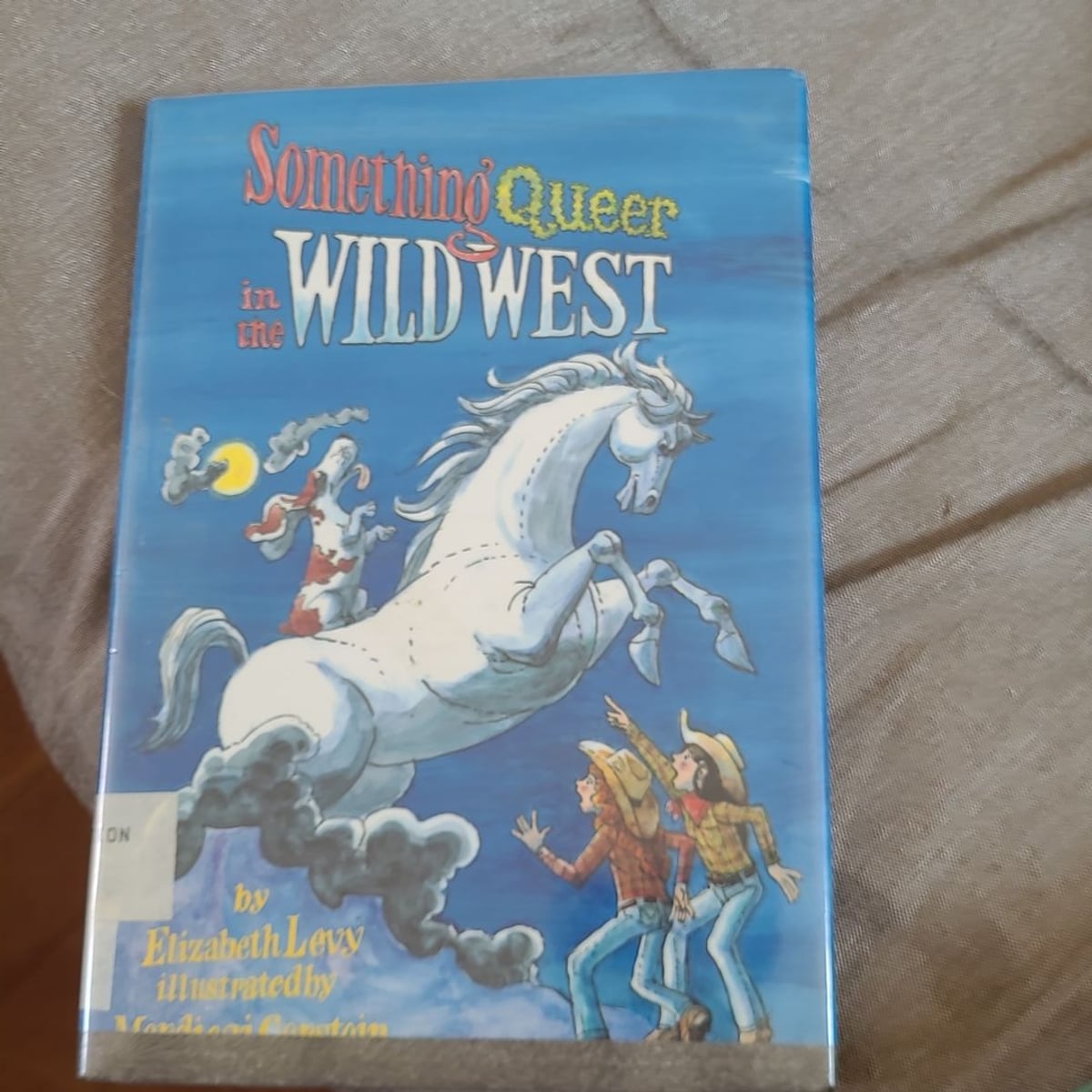 Something Queer in the Wild West by Elizabeth Levy