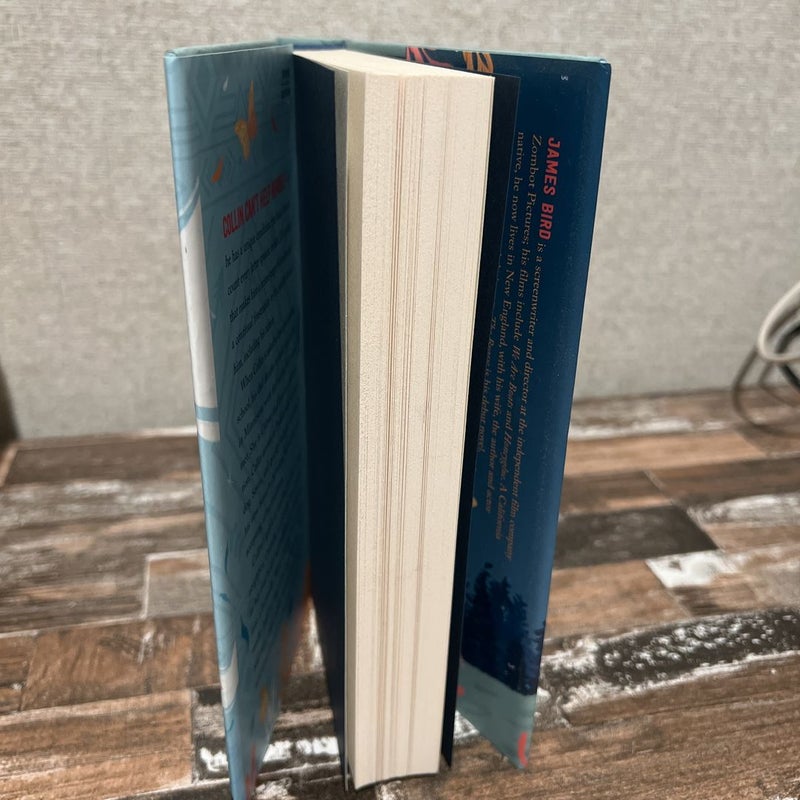 The Brave by James Bird