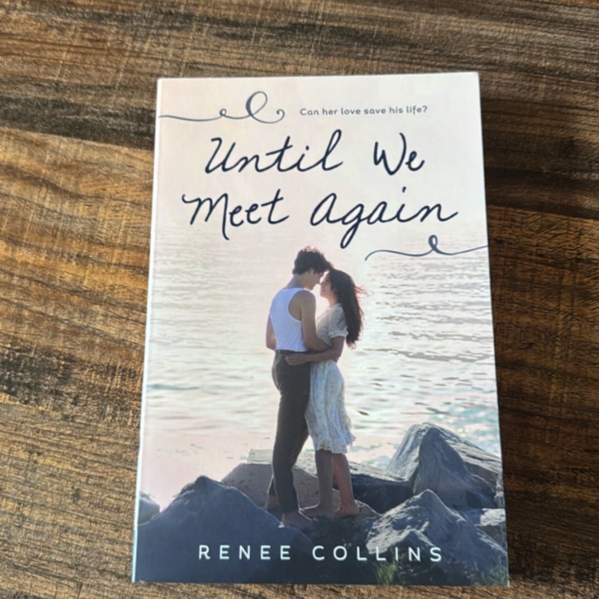 Until We Meet Again by Renee Collins