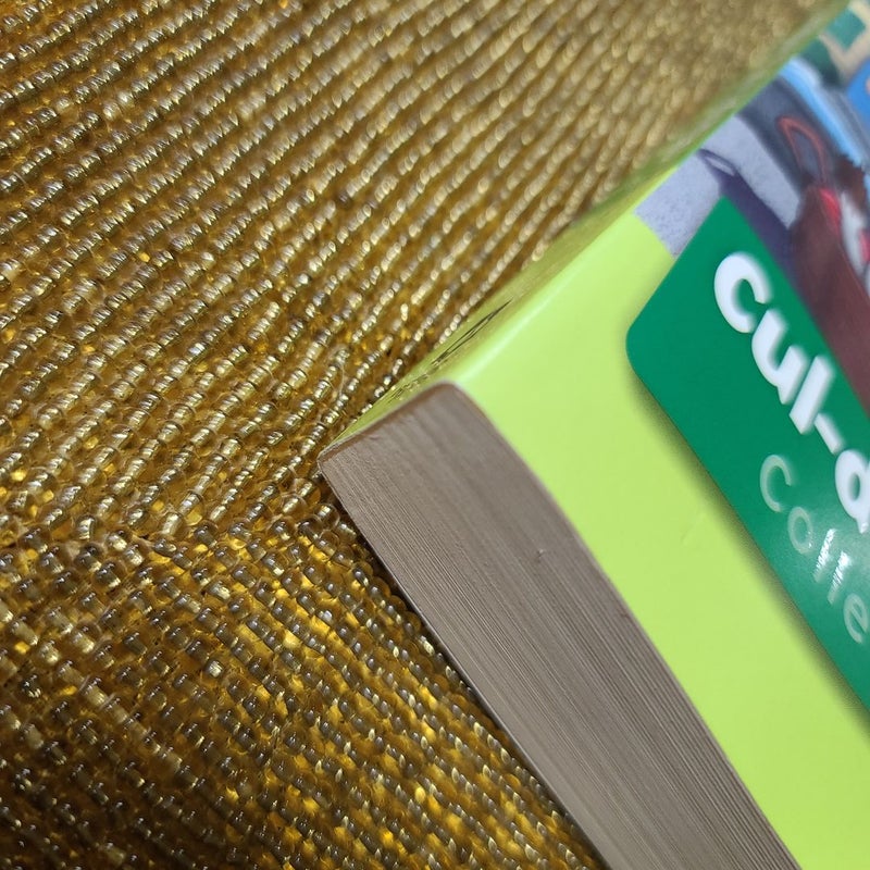 Cul-De-Sac Kids Collection Four by Beverly Lewis, Paperback | Pangobooks