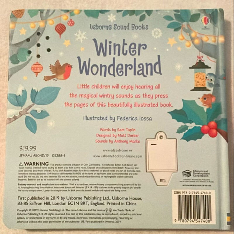 Winter Wonderland Sound Book by Sam Taplin