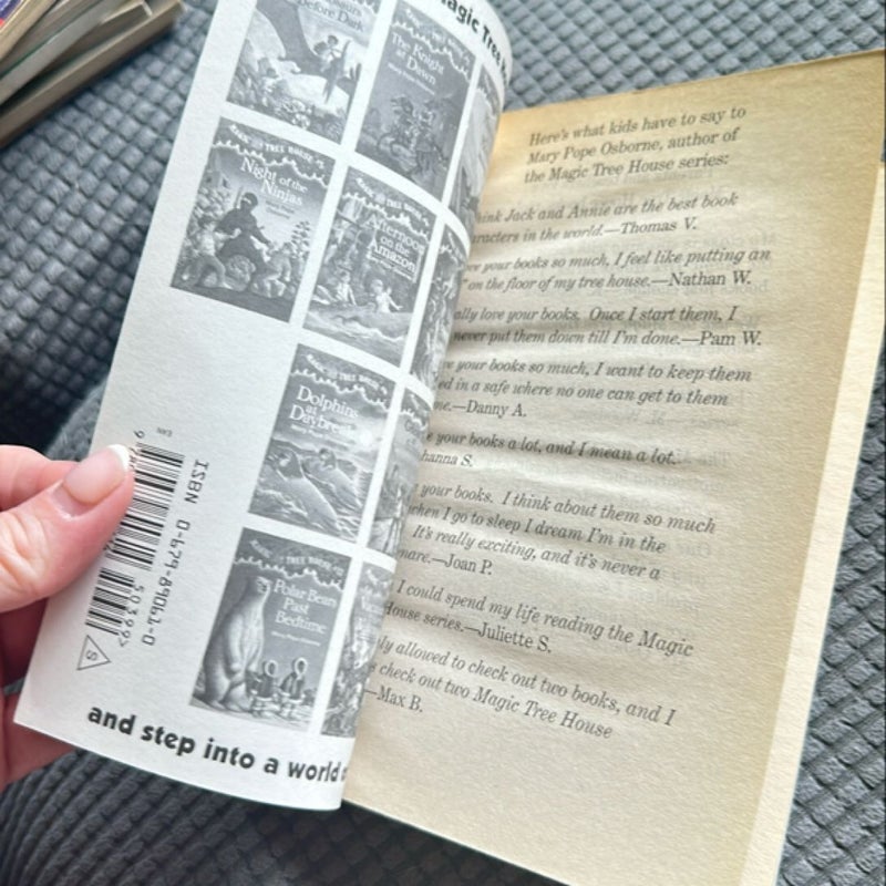 Magic Tree House #15: Viking Ships at Sunrise by Mary Pope Osborne ...