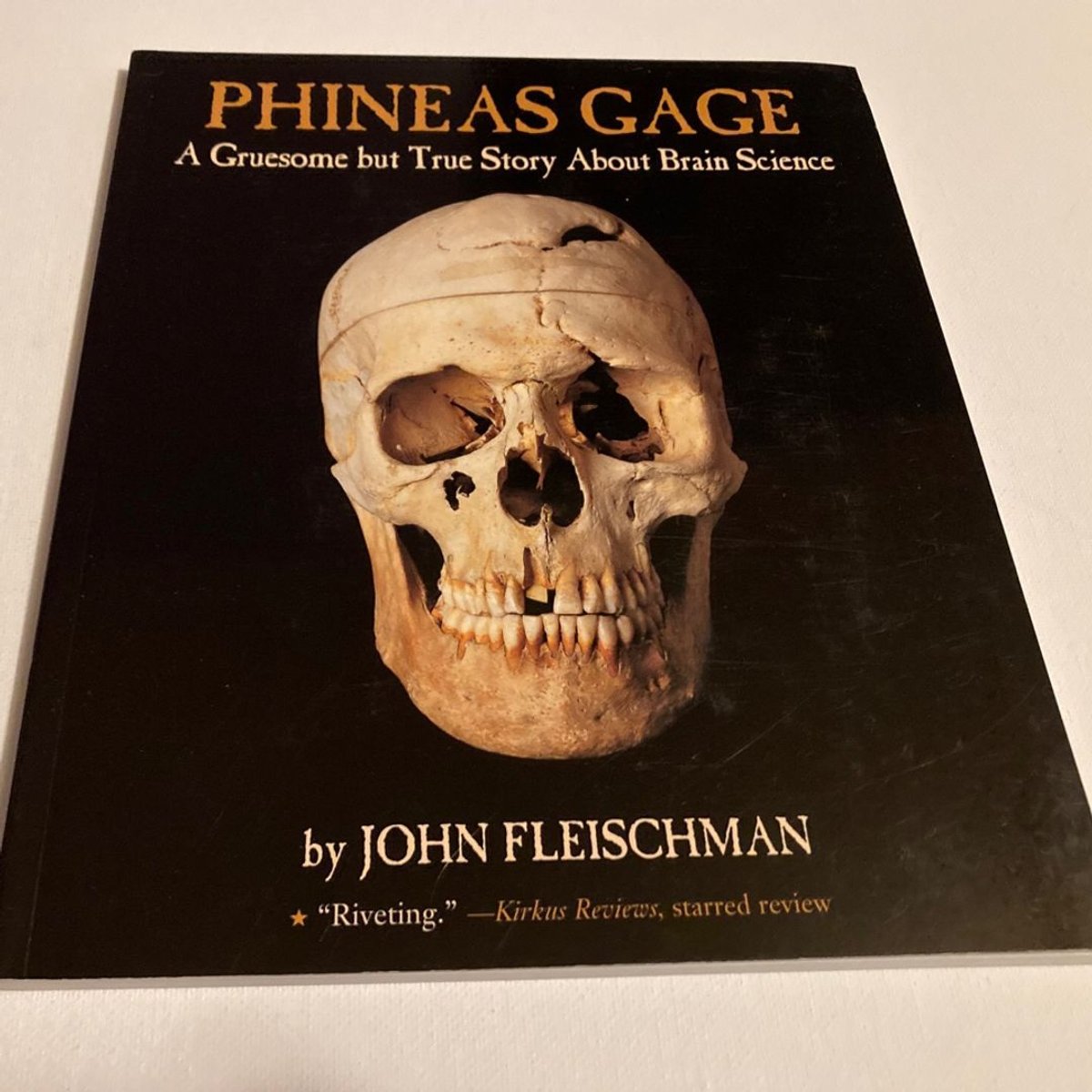 Phineas Gage by John Fleischman