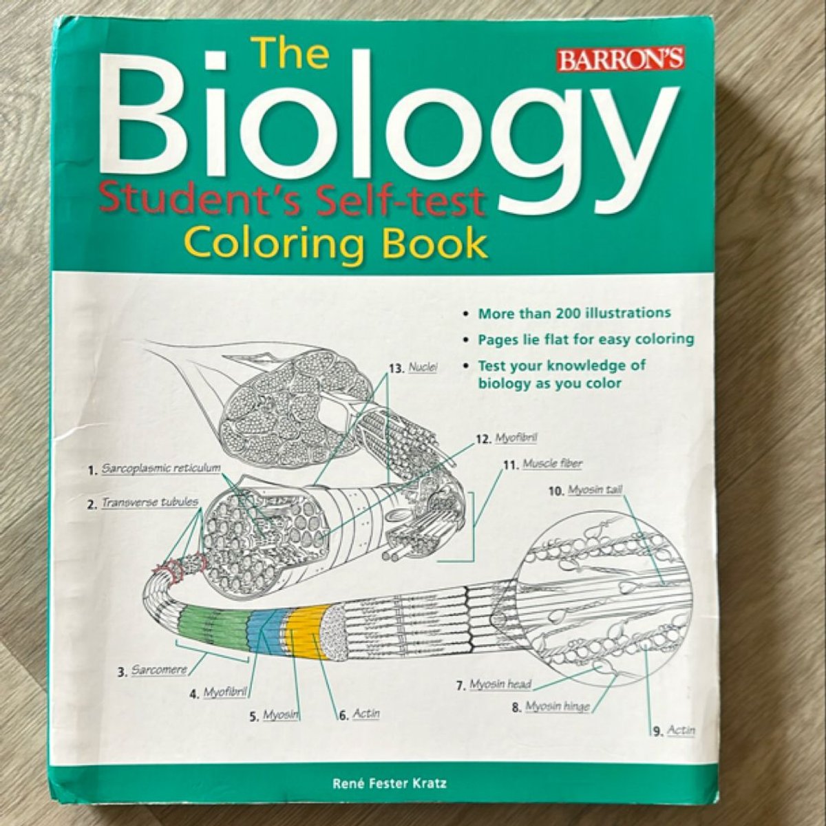 Biology Student's Self-Test Coloring Book by René Fester-Kratz