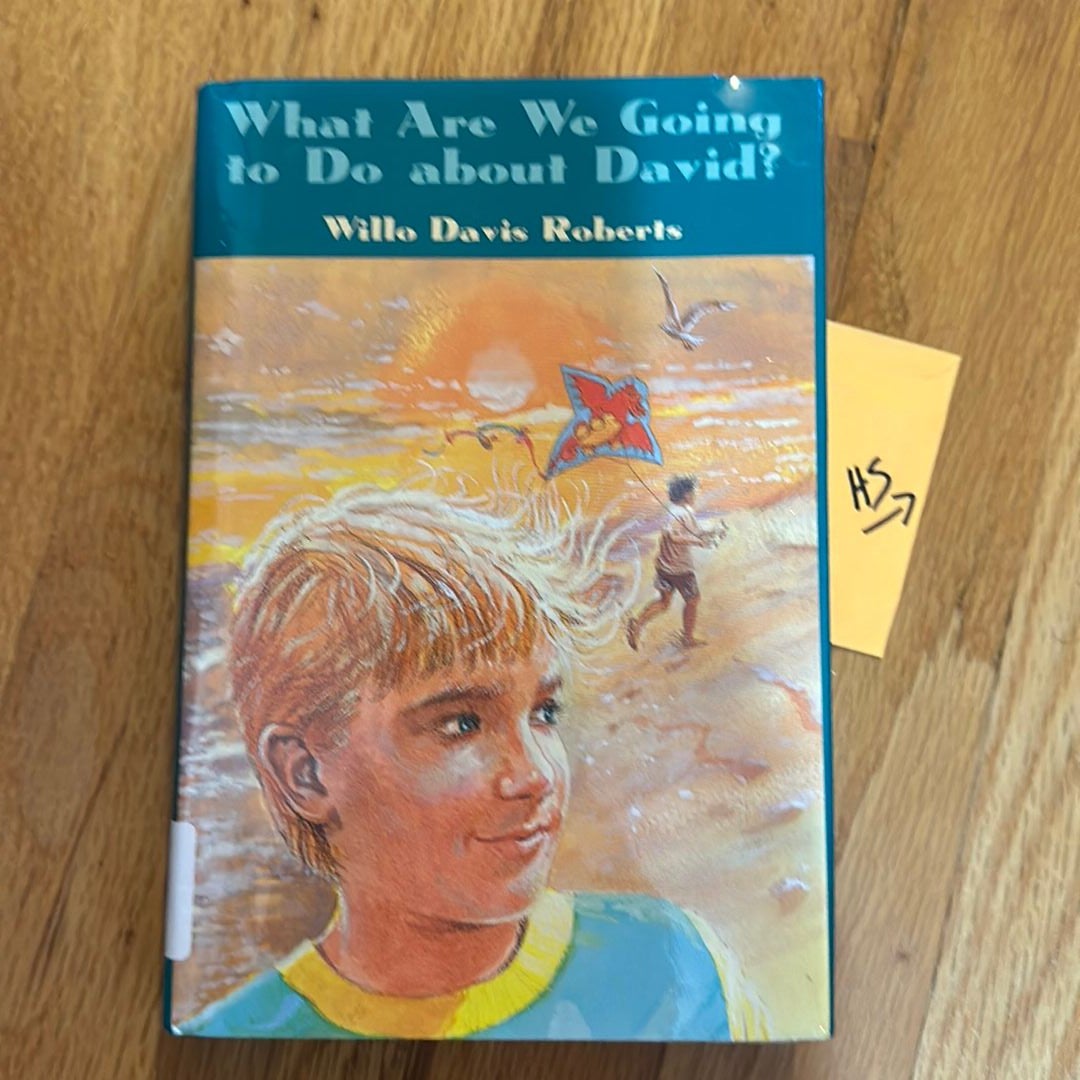 What Are We Going to Do about David? by Willo Davis Roberts, Hardcover | Pangobooks
