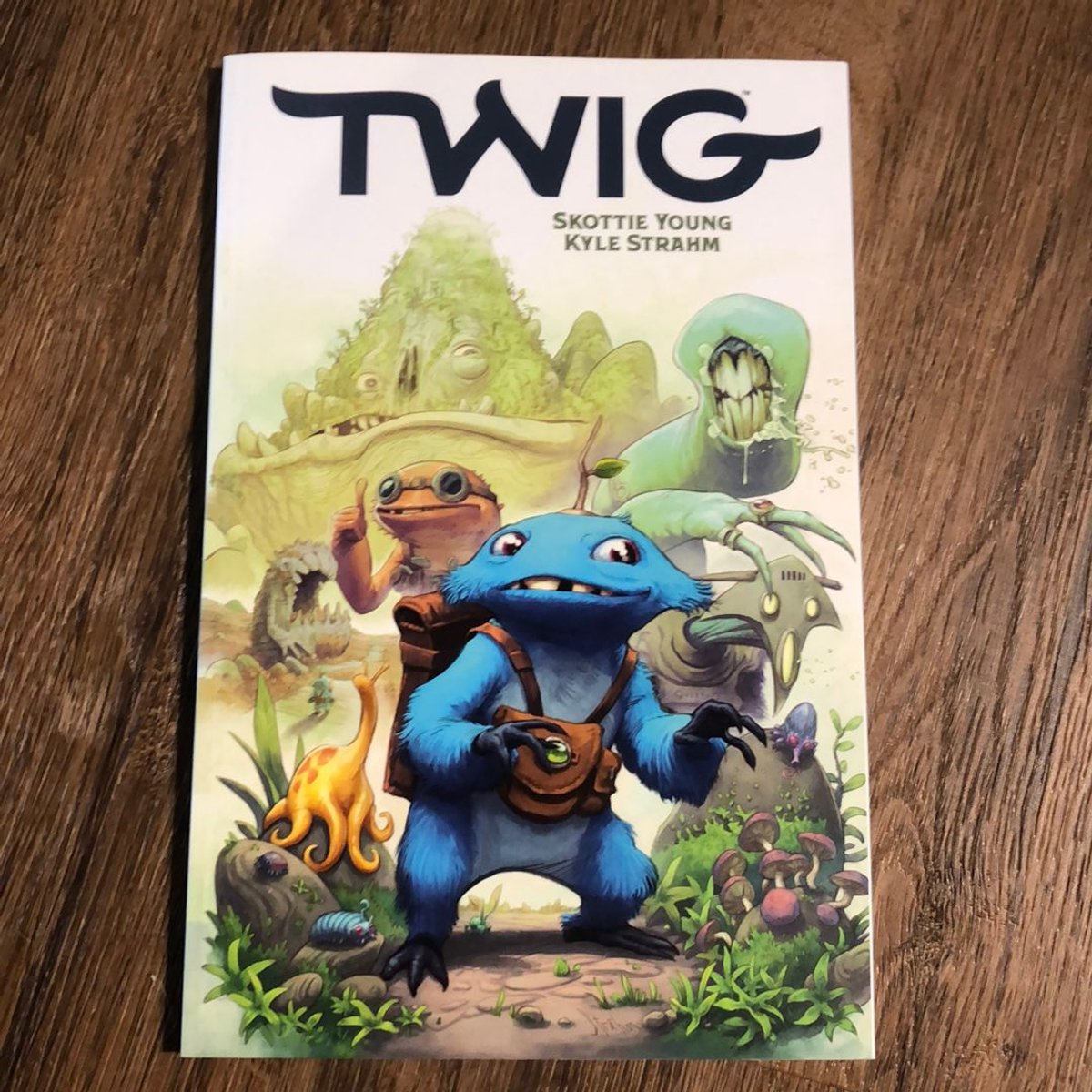 Twig, Volume 1 by Skottie Young, Kyle Strahm