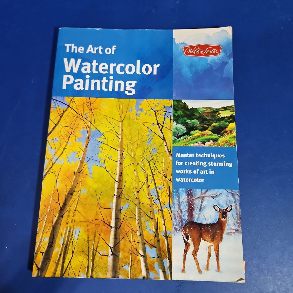 The Art of Watercolor Painting (Collector's Series) by Thomas Needham ...