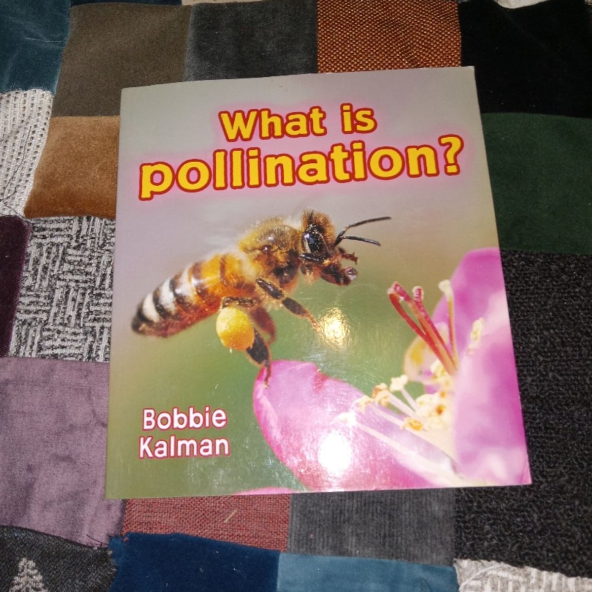 What Is Pollination? by Bobbie Kalman