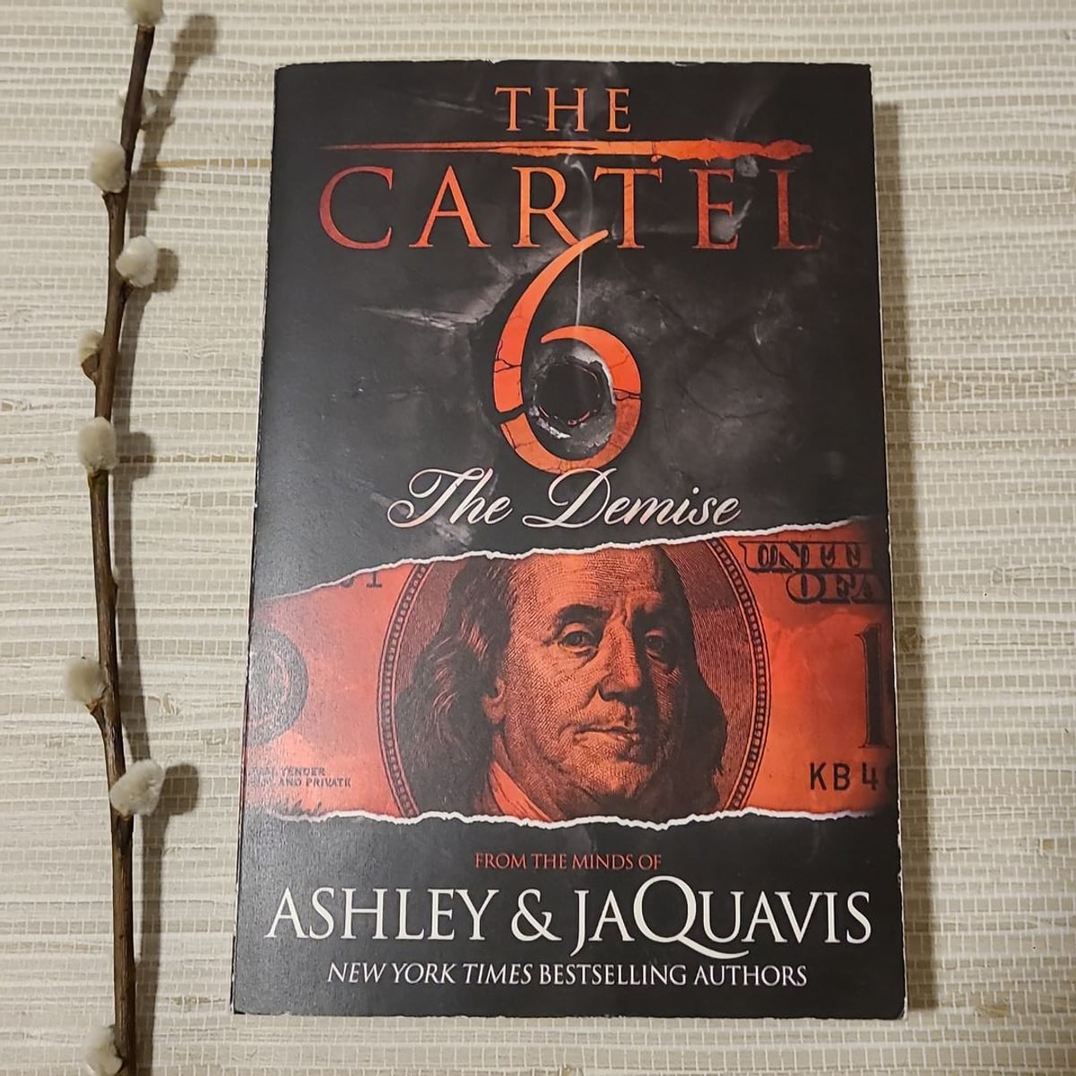 The Cartel 6: the Demise by Ashley & Ashley & JaQuavis, Paperback ...