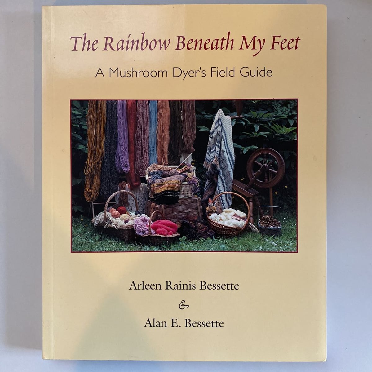 The Rainbow Beneath My Feet by Arleen Bessette, Alan Bessette