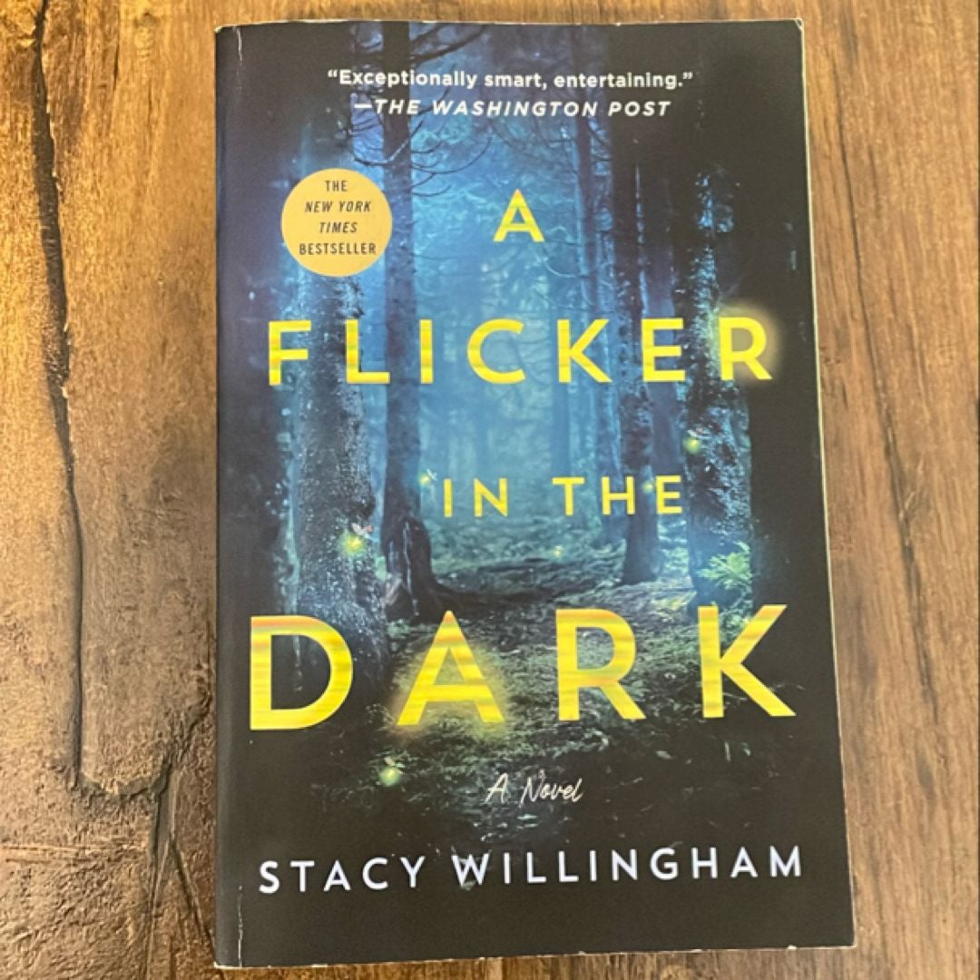 A Flicker in the Dark by stacy Willingham, Paperback | Pangobooks