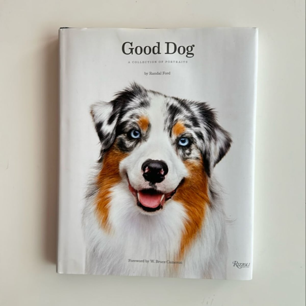 Good Dog by Randal Ford, W. Bruce Cameron