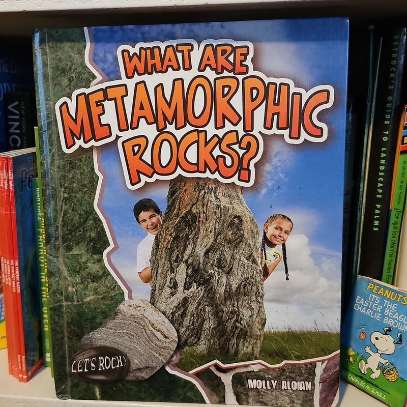 What Are Metamorphic Rocks? by Molly Aloian