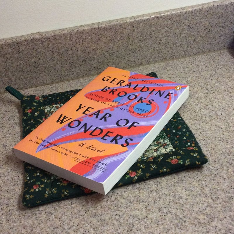 Year of Wonders by Geraldine Brooks, Paperback | Pangobooks