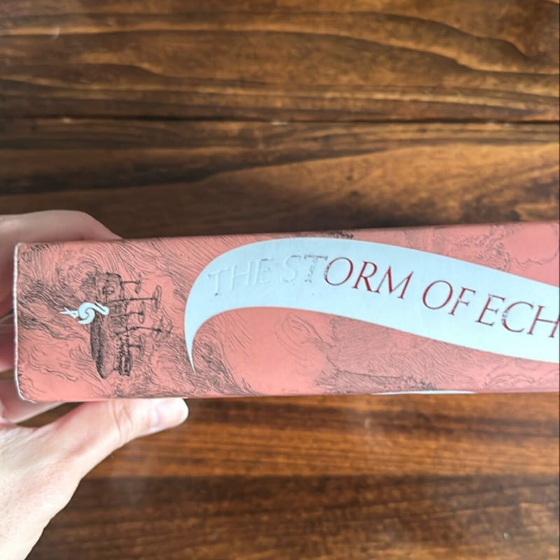 The Storm of Echoes by Christelle Dabos; Hildegarde Serle, Hardcover ...