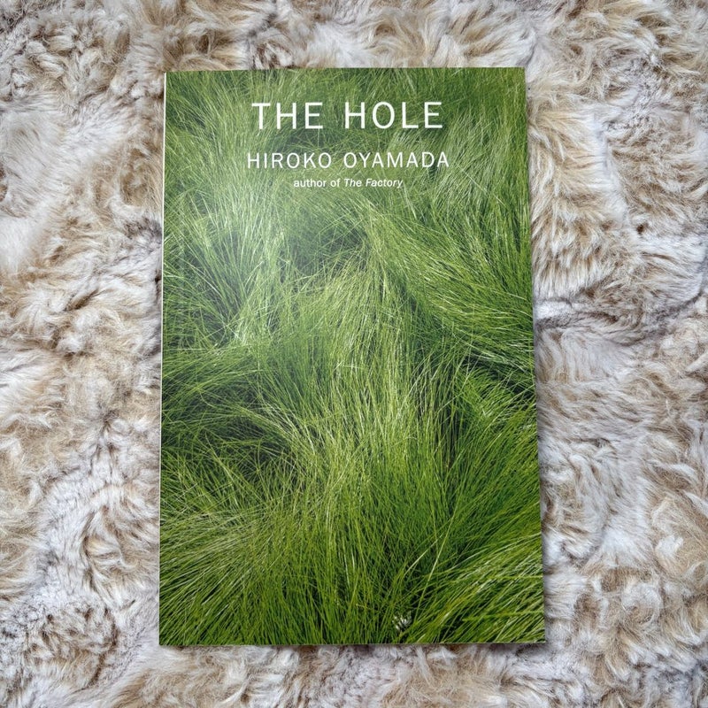 The Hole by Hiroko Oyamada, David Boyd