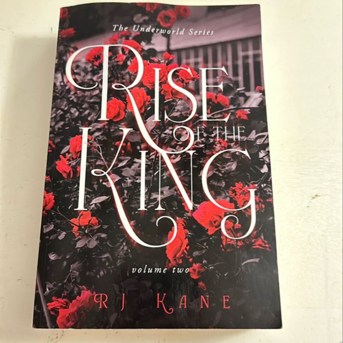 King Of The Underworld Novel Rj Kane