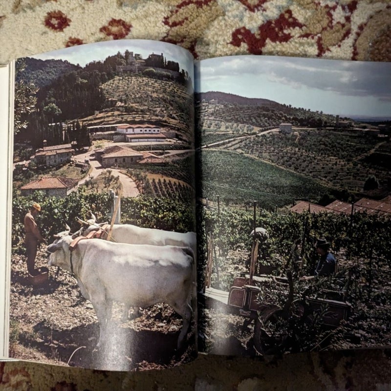 The Cooking of Italy by Time life books, Hardcover | Pangobooks