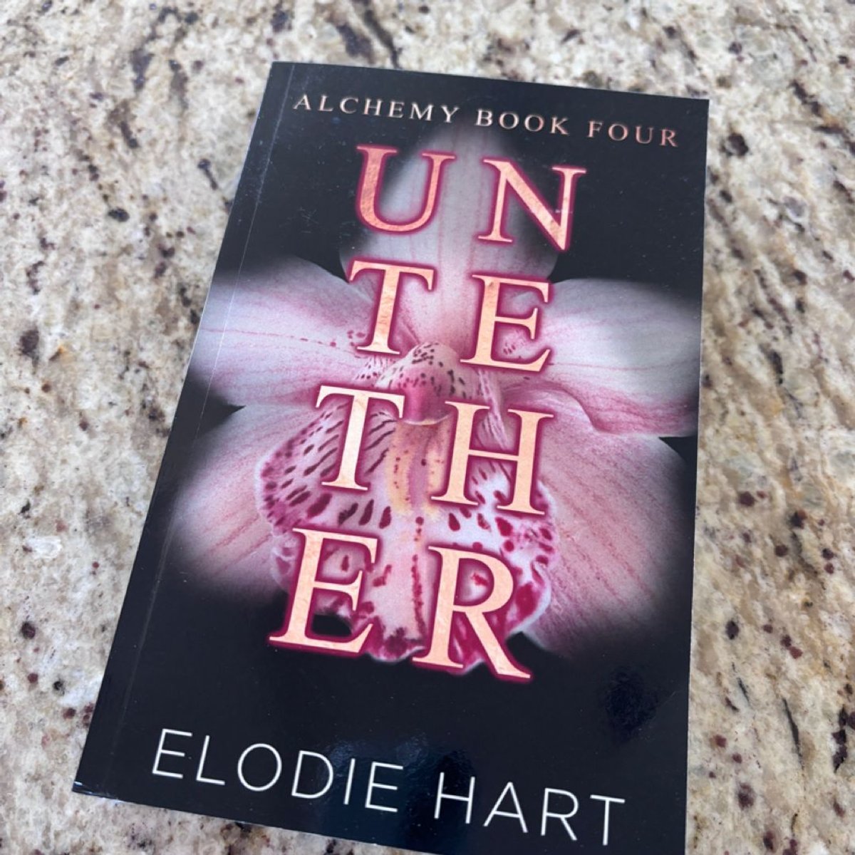 Untether: a Hot Reverse Age Gap Romance by Elodie Hart