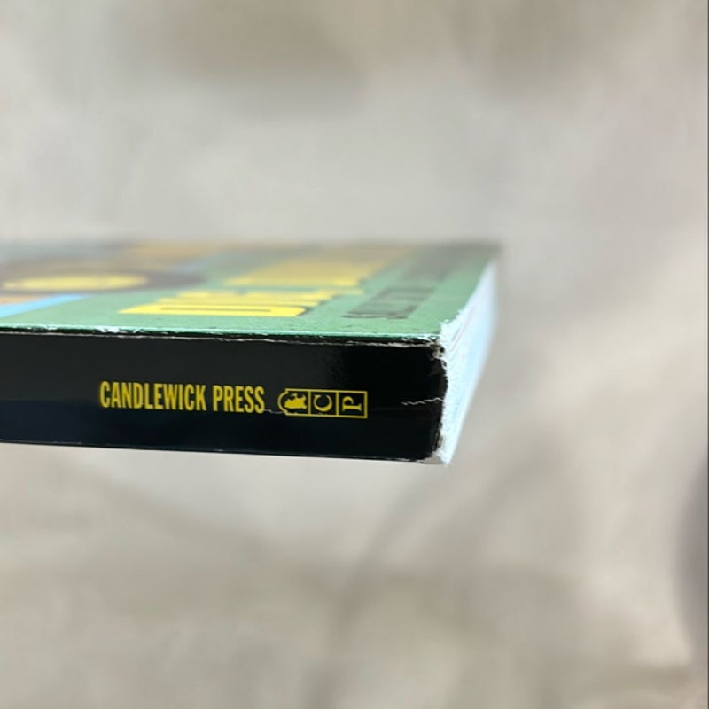 Dig, Dump, Roll by Sally Sutton