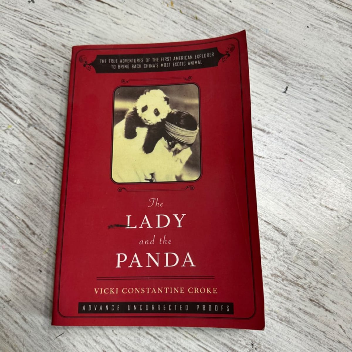The Lady and the Panda by Vicki Croke