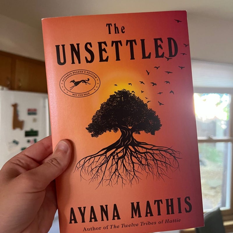 The Unsettled