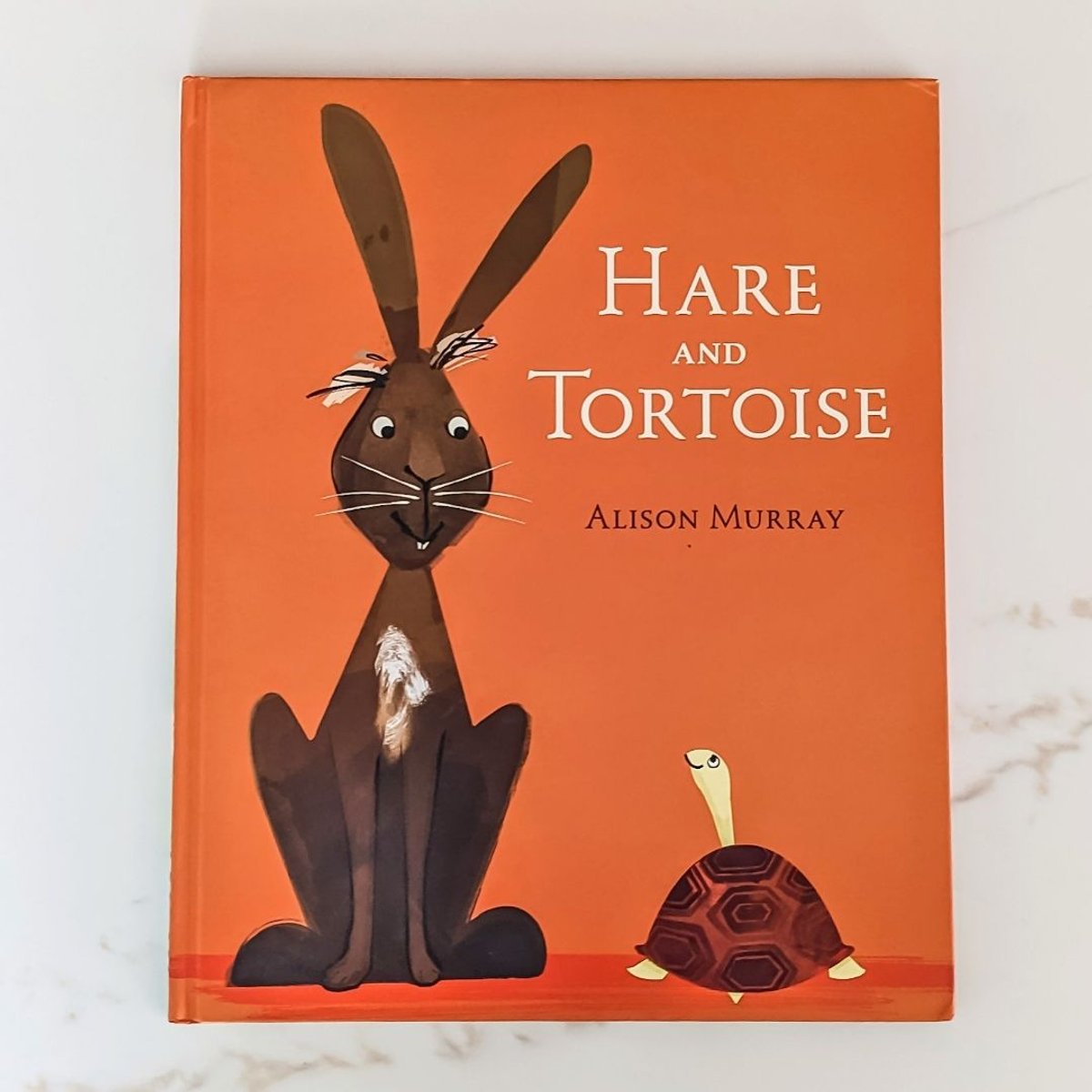 Hare and Tortoise by Alison Murray