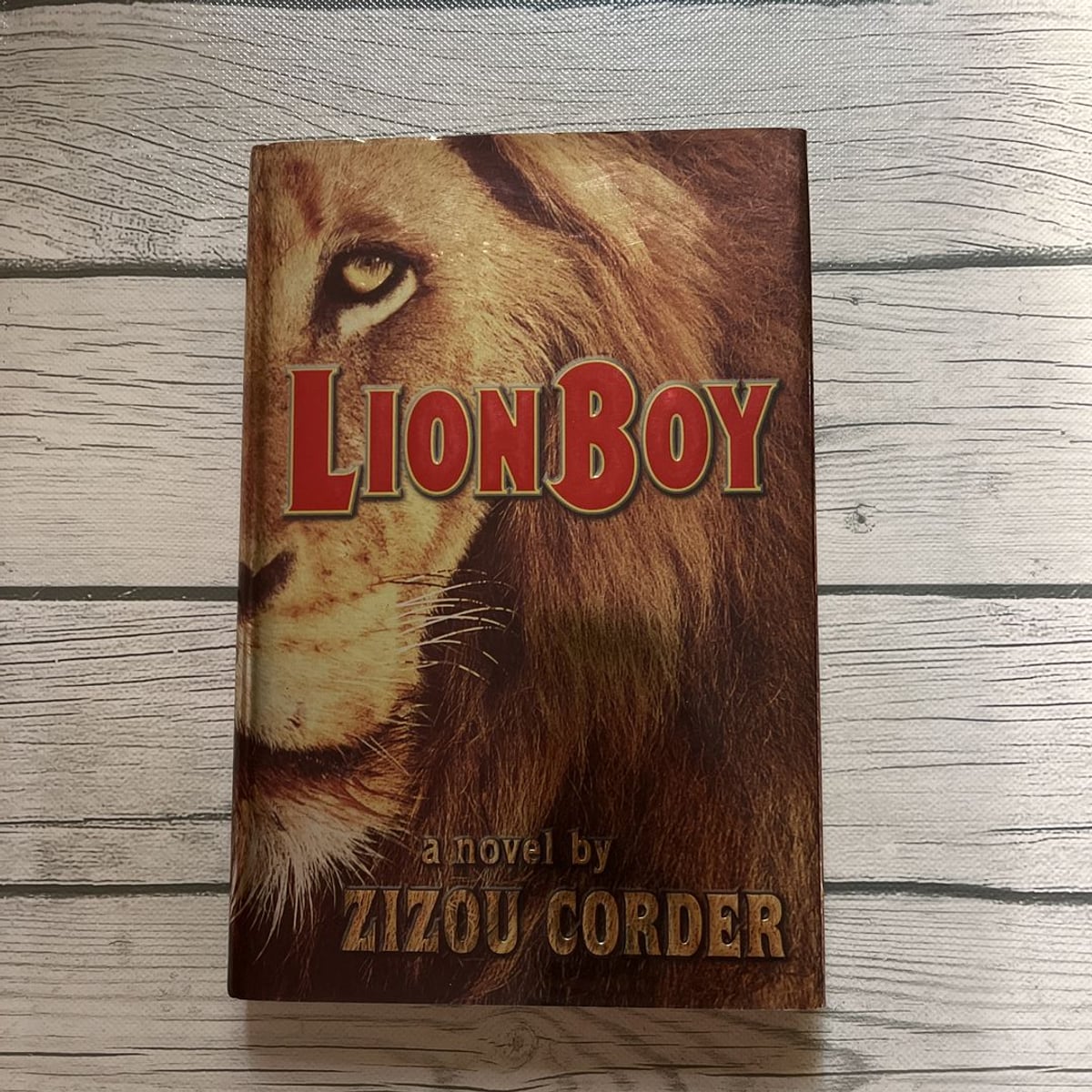 Lionboy by Zizou Corder