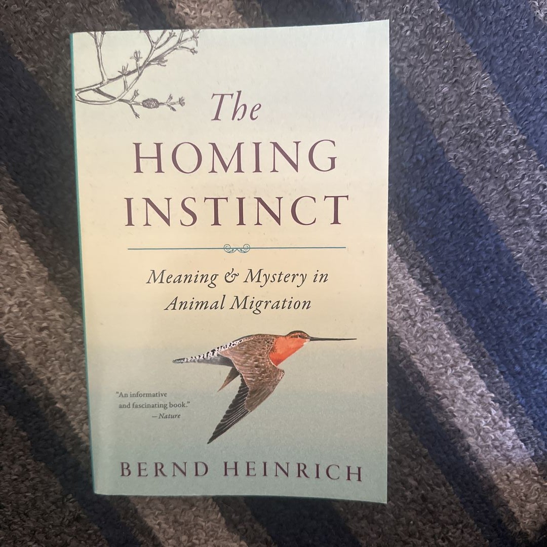 The Homing Instinct by Bernd Heinrich, Paperback | Pangobooks
