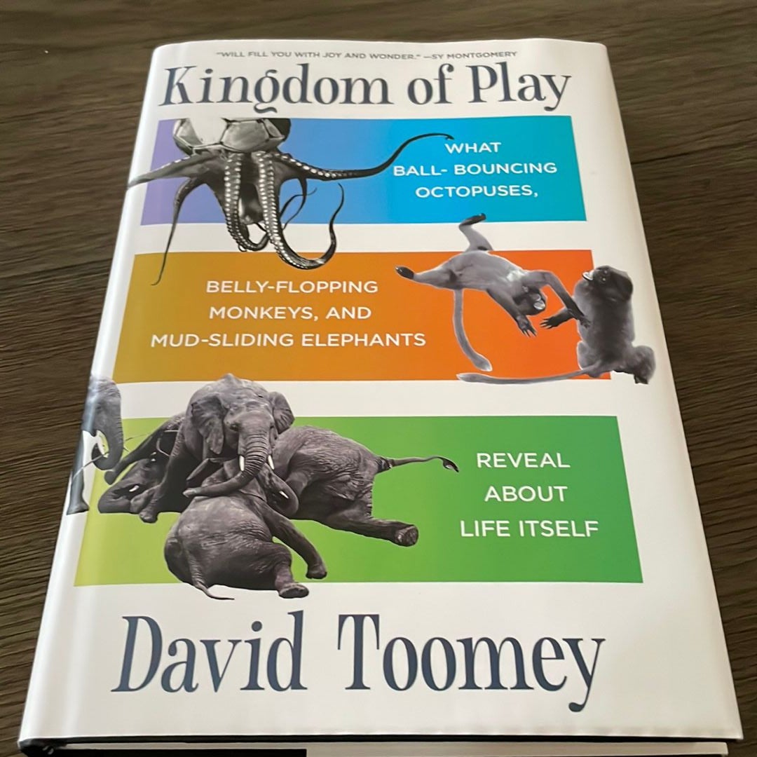 Kingdom of Play by David Toomey