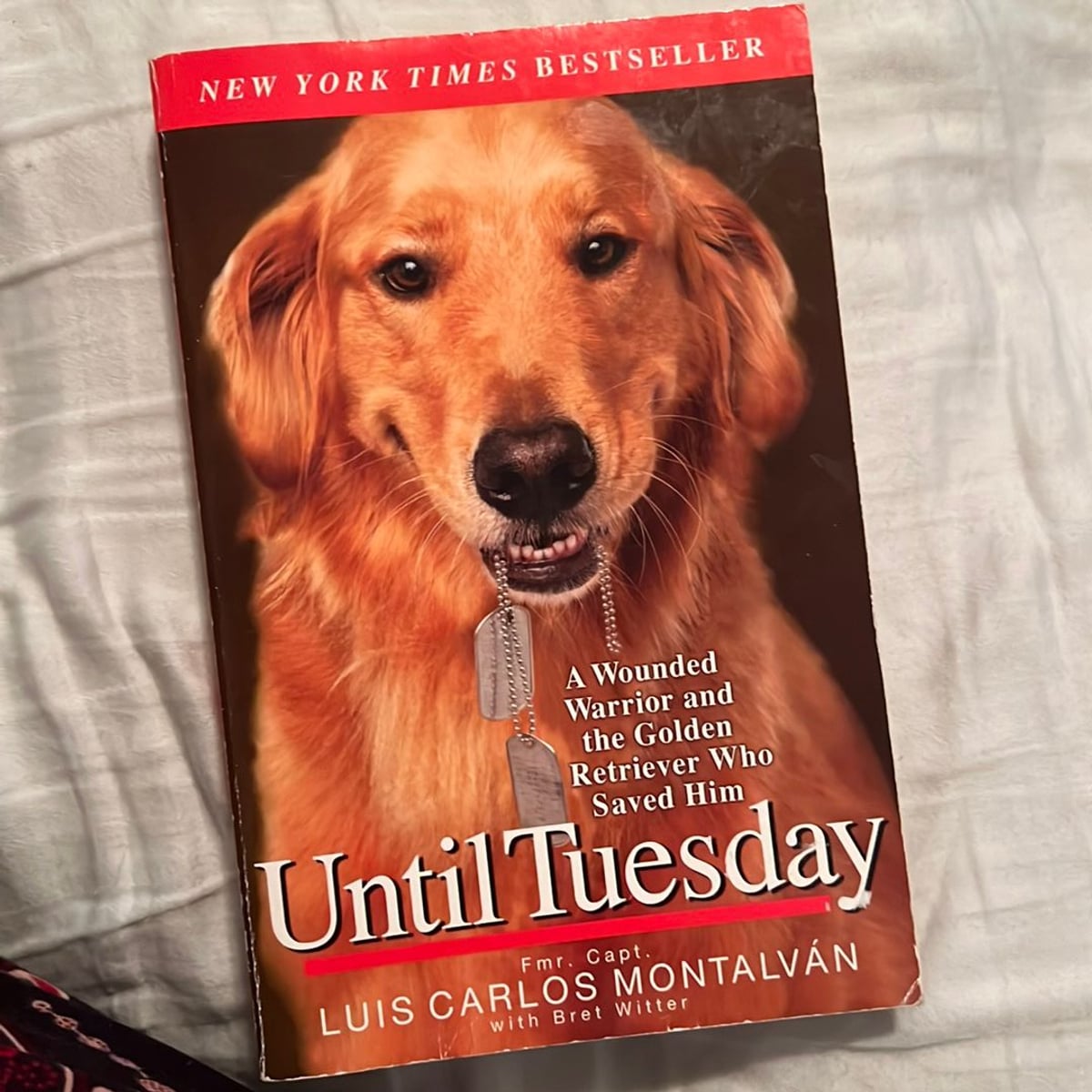Until Tuesday by Luis Carlos Montalvan, Bret Witter