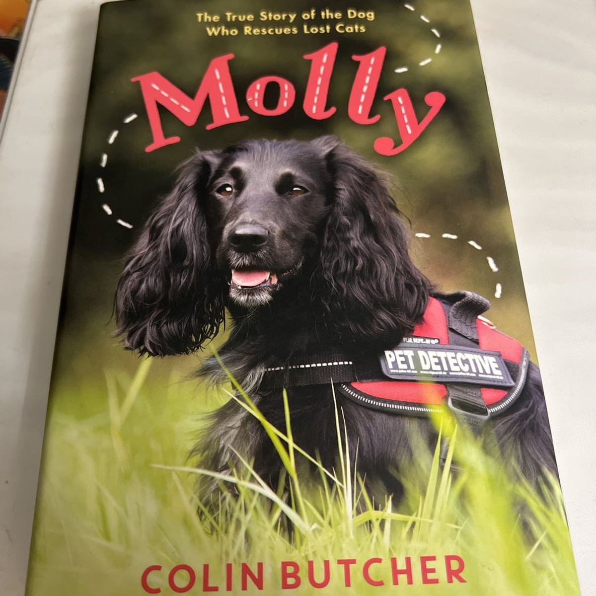 Molly: the True Story of the Dog Who Rescues Lost Cats by Colin Butcher
