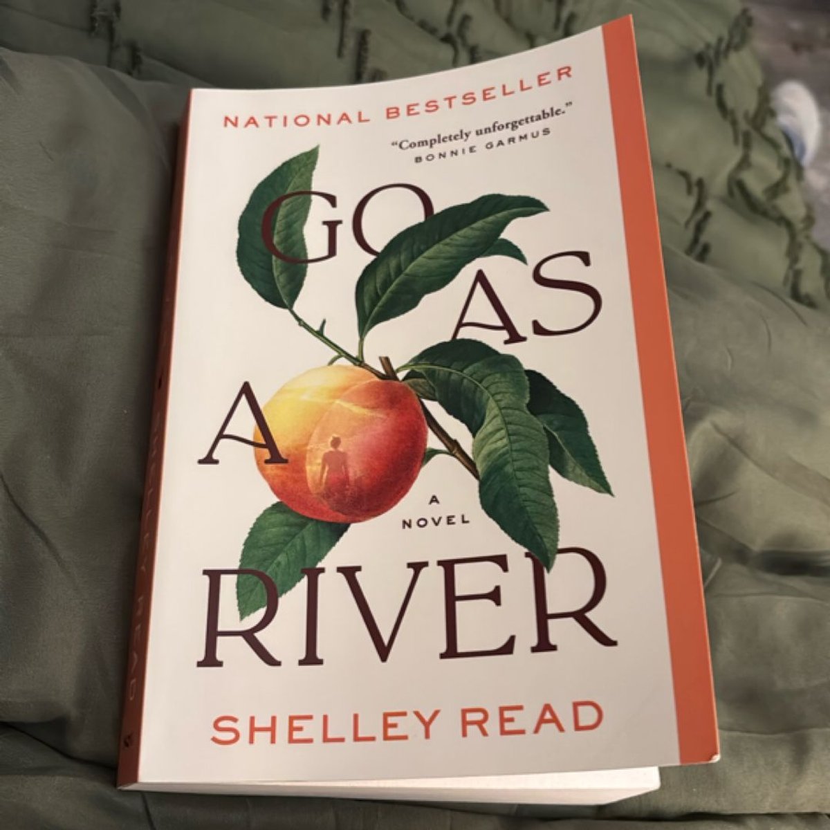 Go As a River by Shelley Read, Paperback | Pangobooks