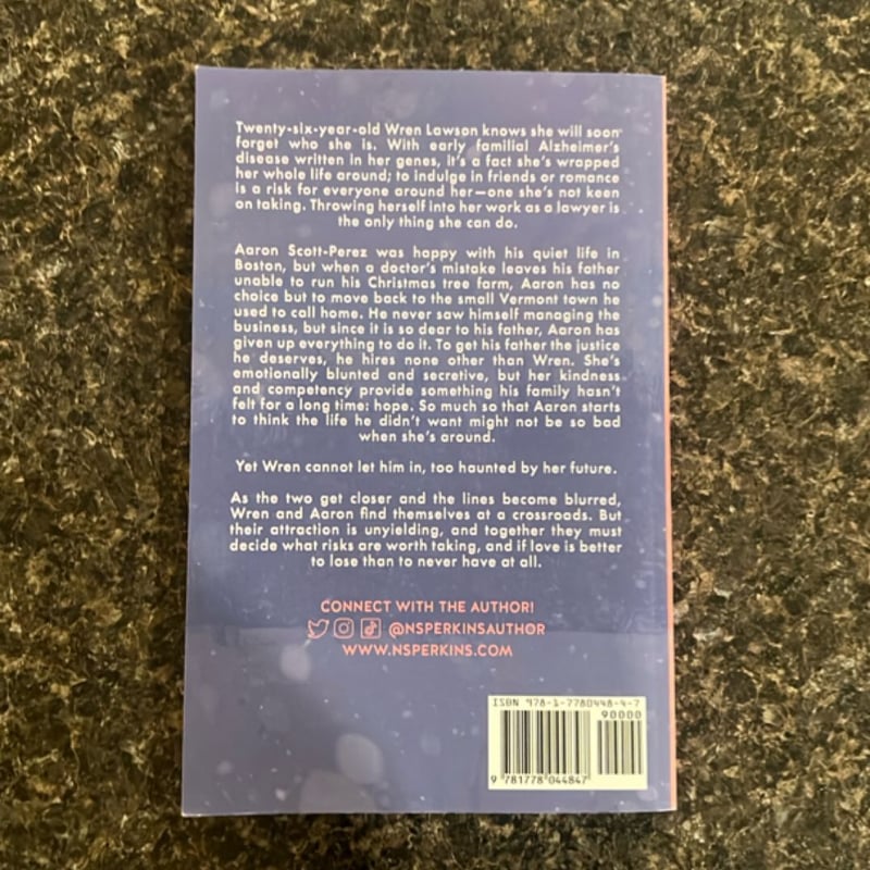 Where Time Stands Still by N. S. Perkins