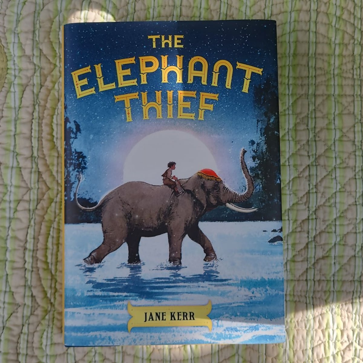The Elephant Thief