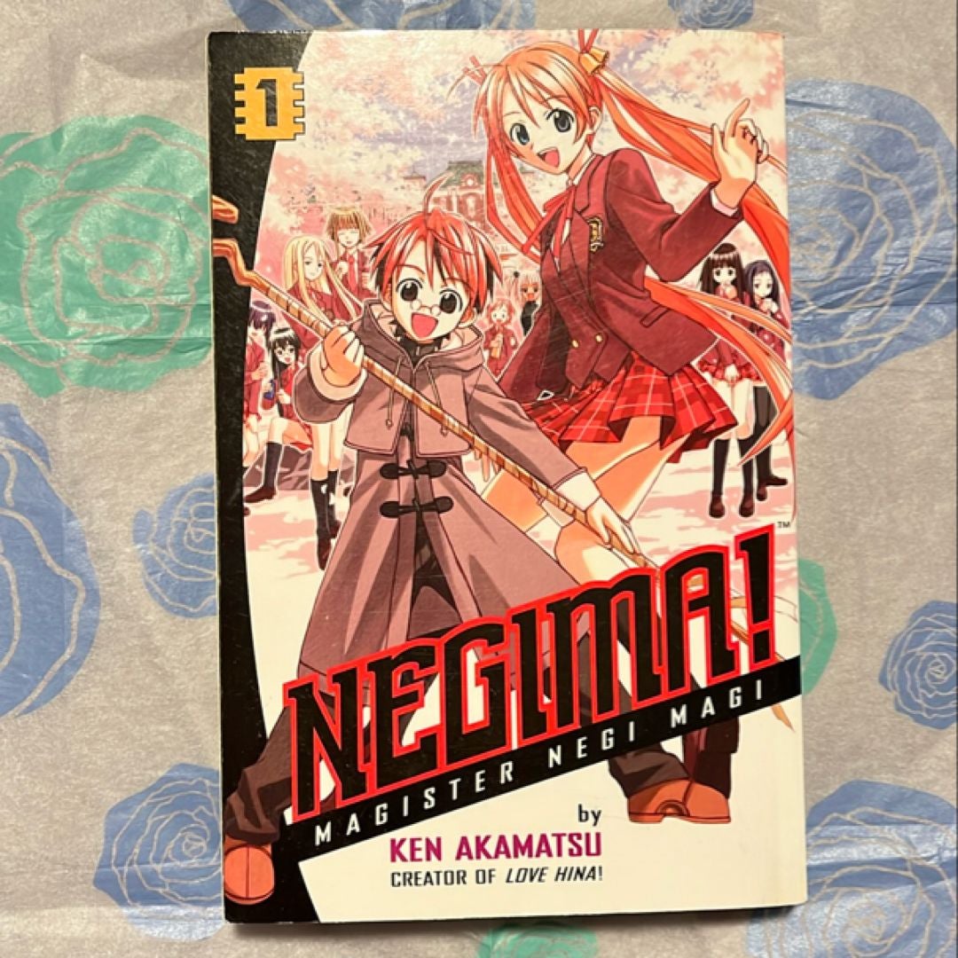 Negima by Ken Akamatsu