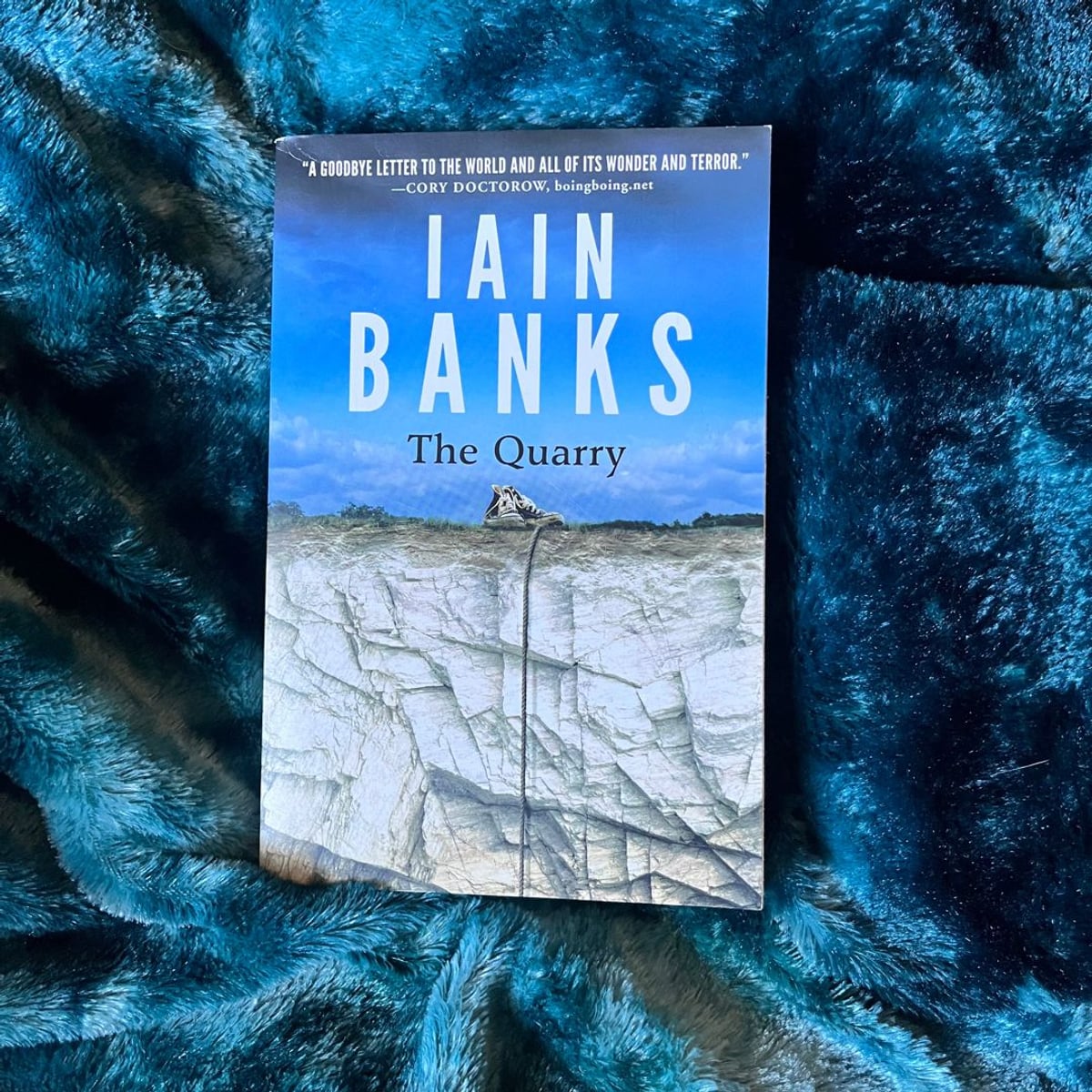 The Quarry by Iain M. Banks, Paperback | Pangobooks