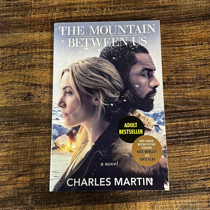 The Mountain Between Us by Charles Martin, Paperback | Pangobooks