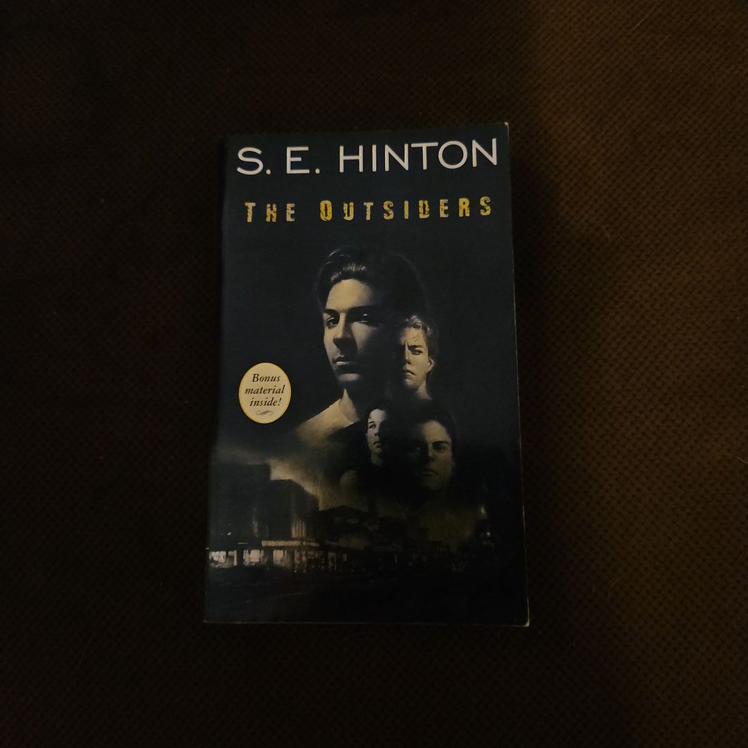The Outsiders by S.E. Hinton, Paperback | Pangobooks