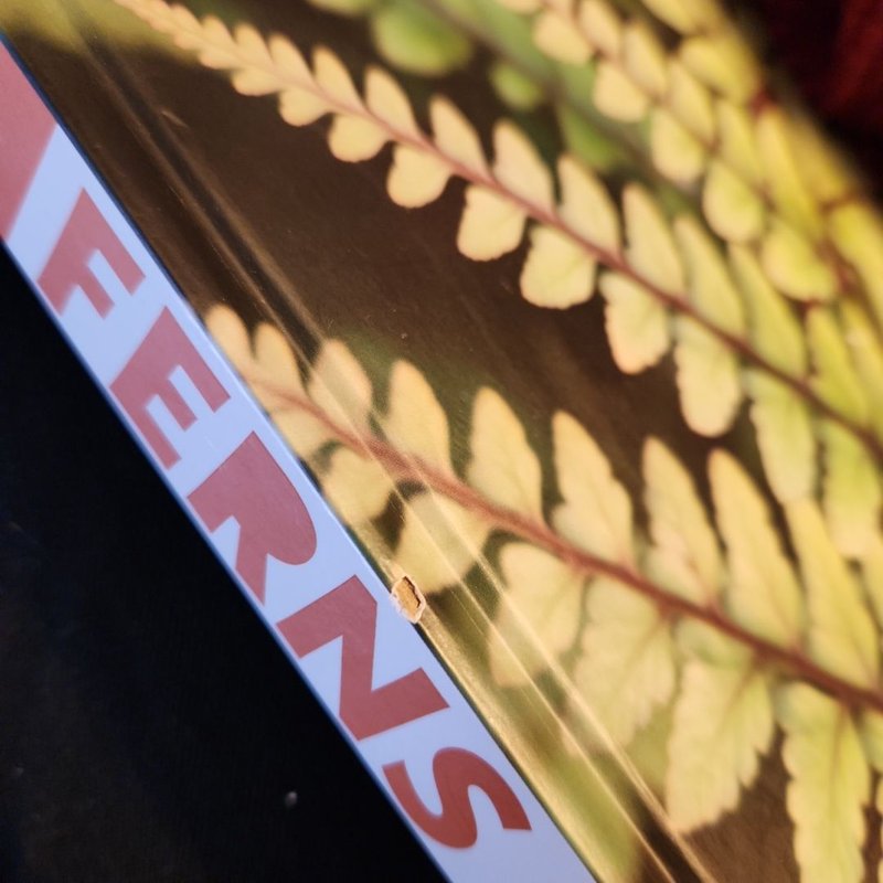 The Plant Lover's Guide to Ferns by Richie Steffen, Sue Olsen