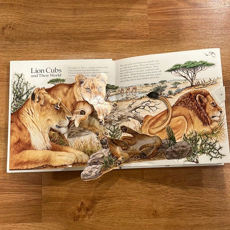 Pop-Up: Lion Cubs and Their World by National Geographic Society