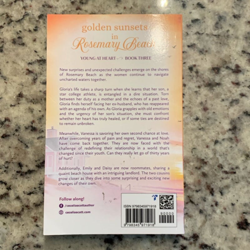 Golden Sunsets in Rosemary Beach by Cecelia Scott