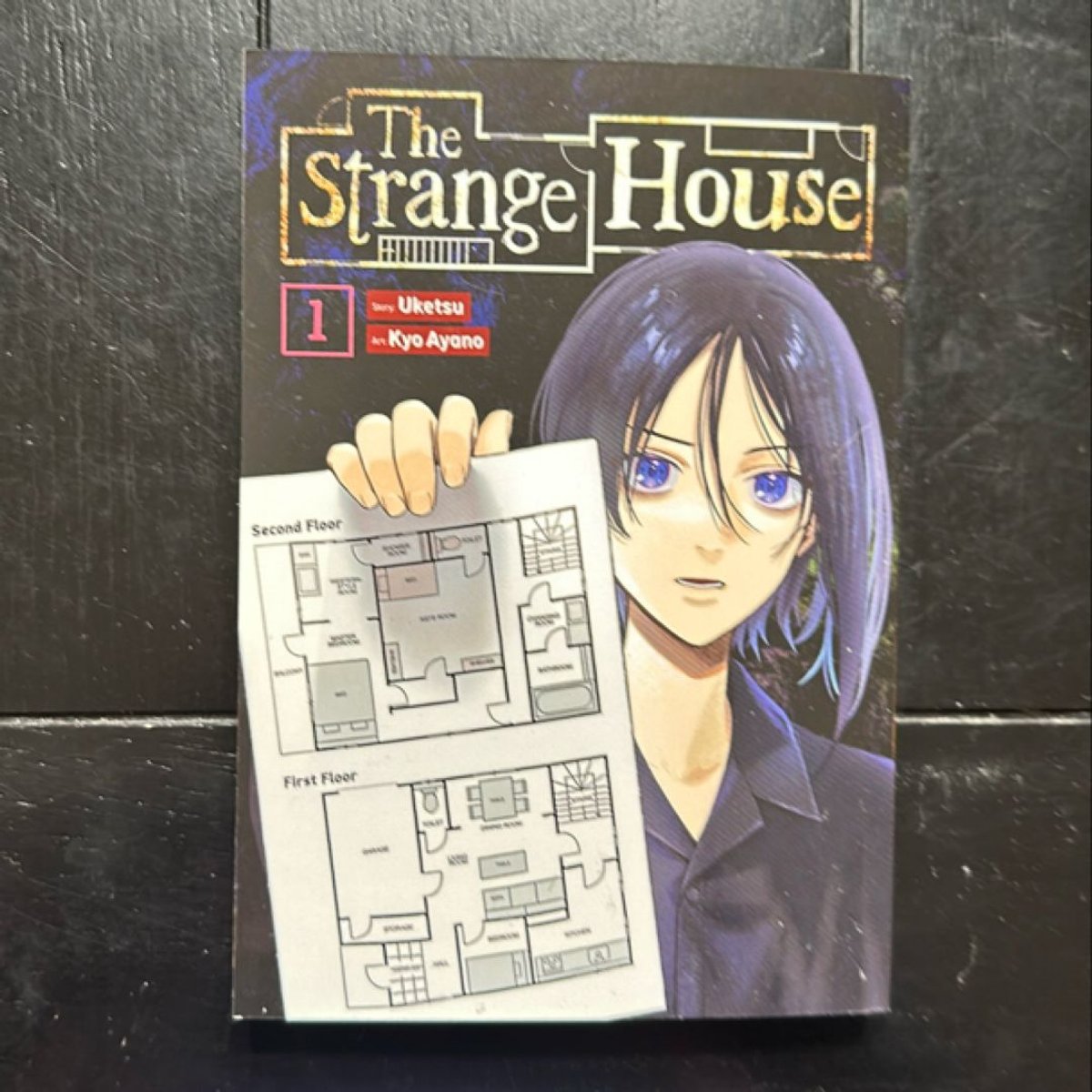 The Strange House (Manga) Vol. 1 by Uketsu