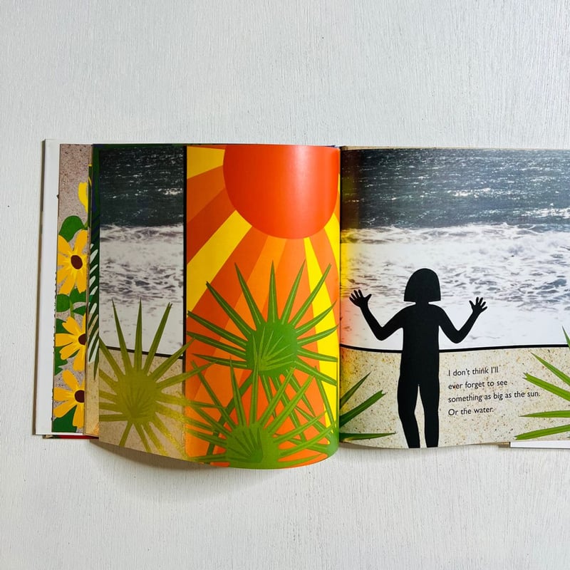 Out of the Ocean by Debra Frasier