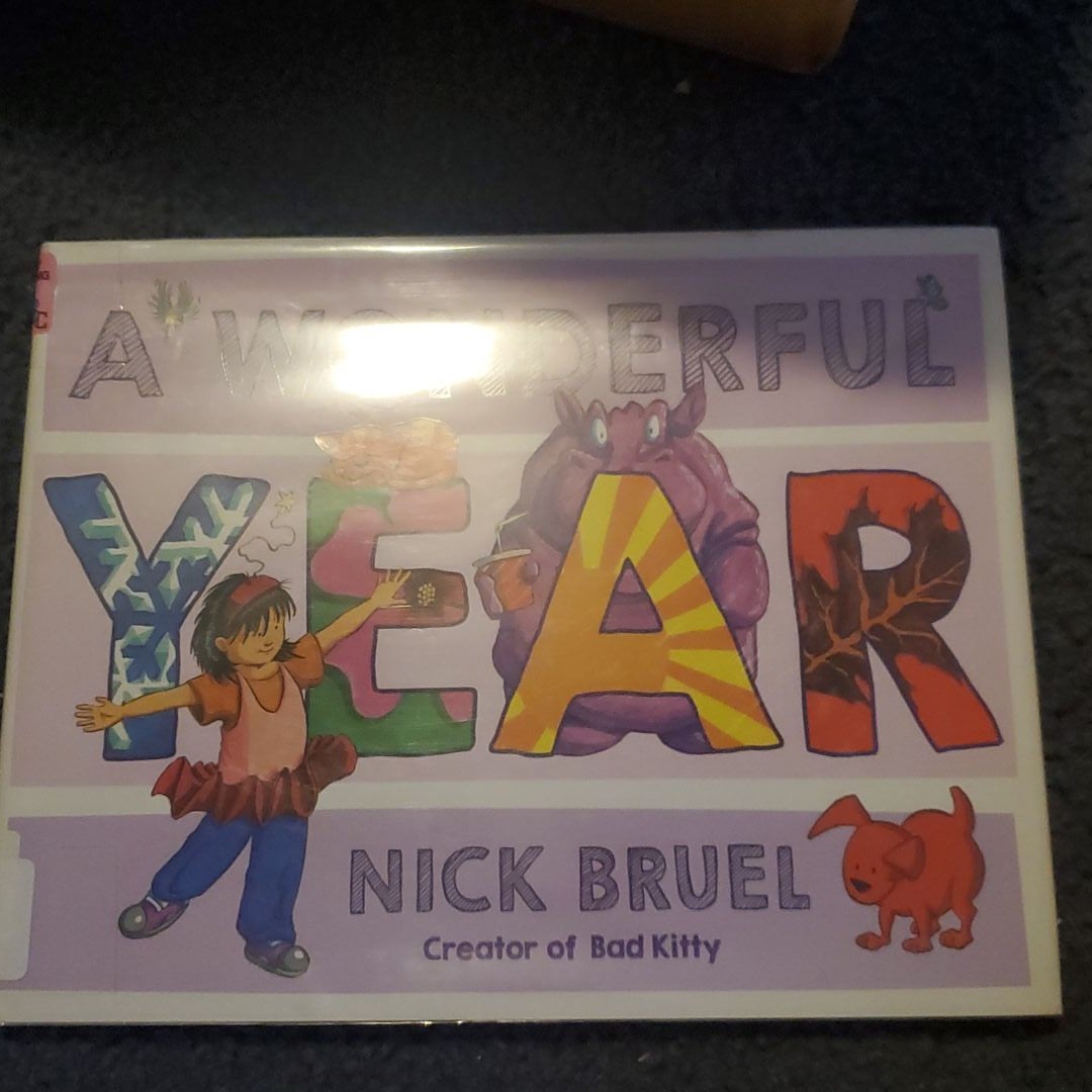 A Wonderful Year by Nick Bruel