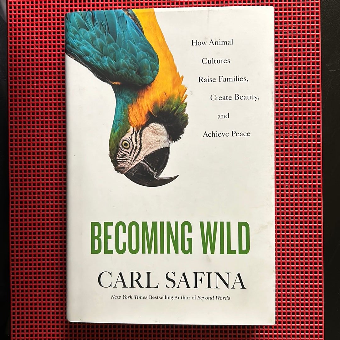 Becoming Wild by Carl Safina