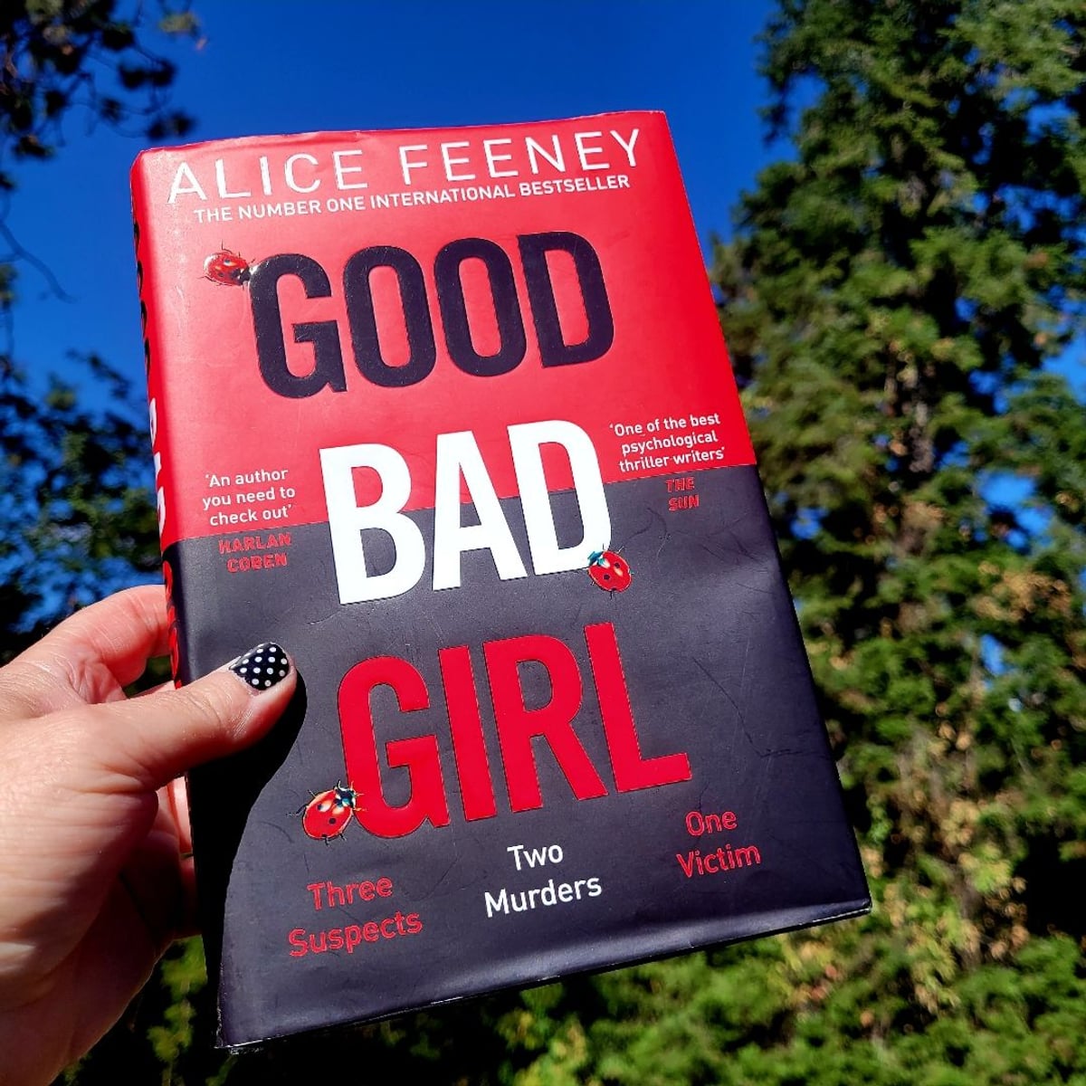 Good Bad Girl By Alice Feeney