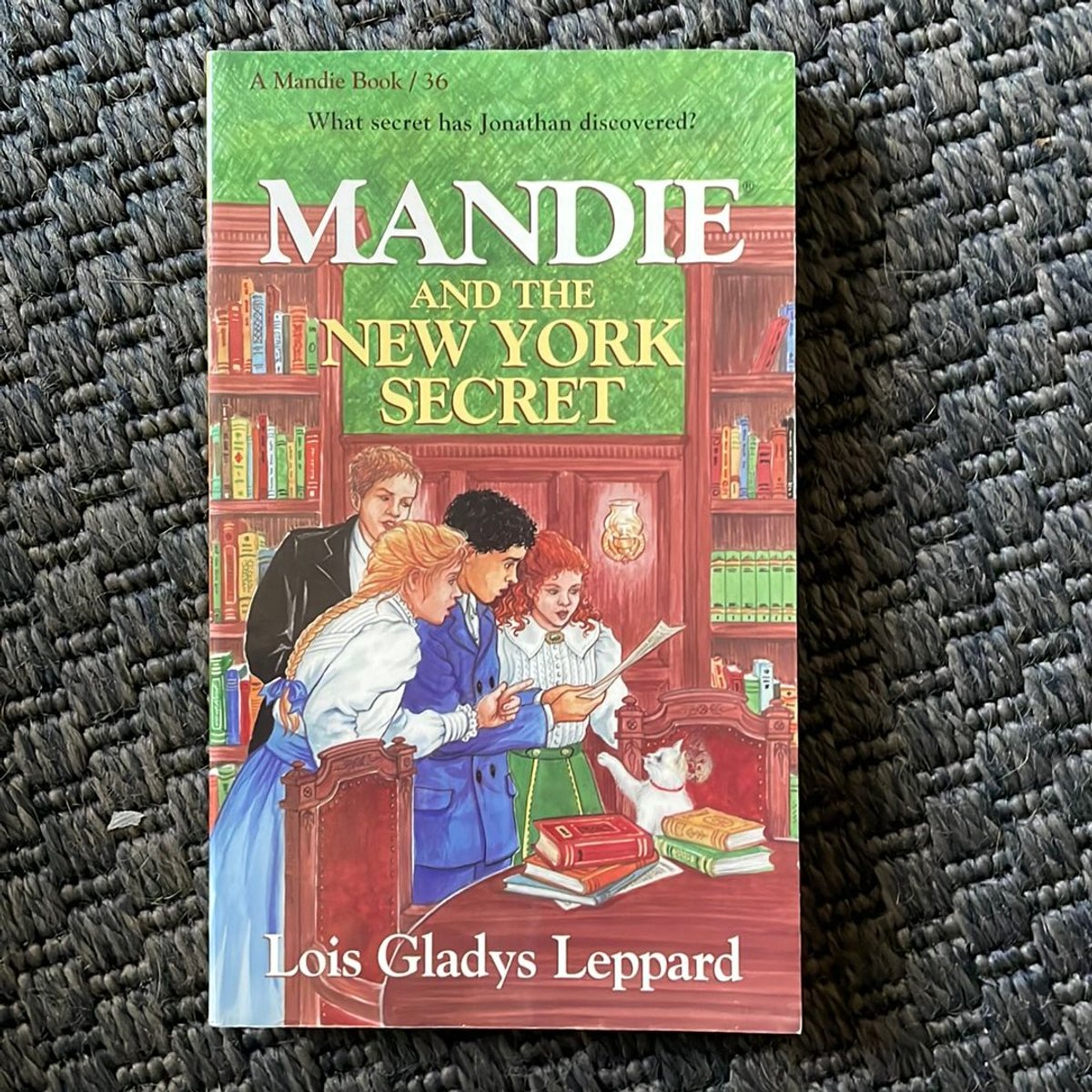 Mandie and the New York Secret by Lois Gladys Leppard